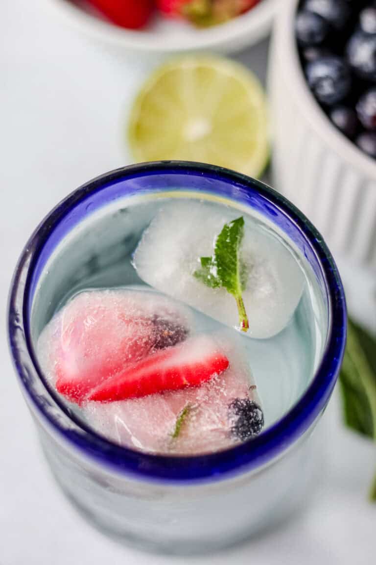 Fruit Ice Cubes - Plant Empowered Kitchen